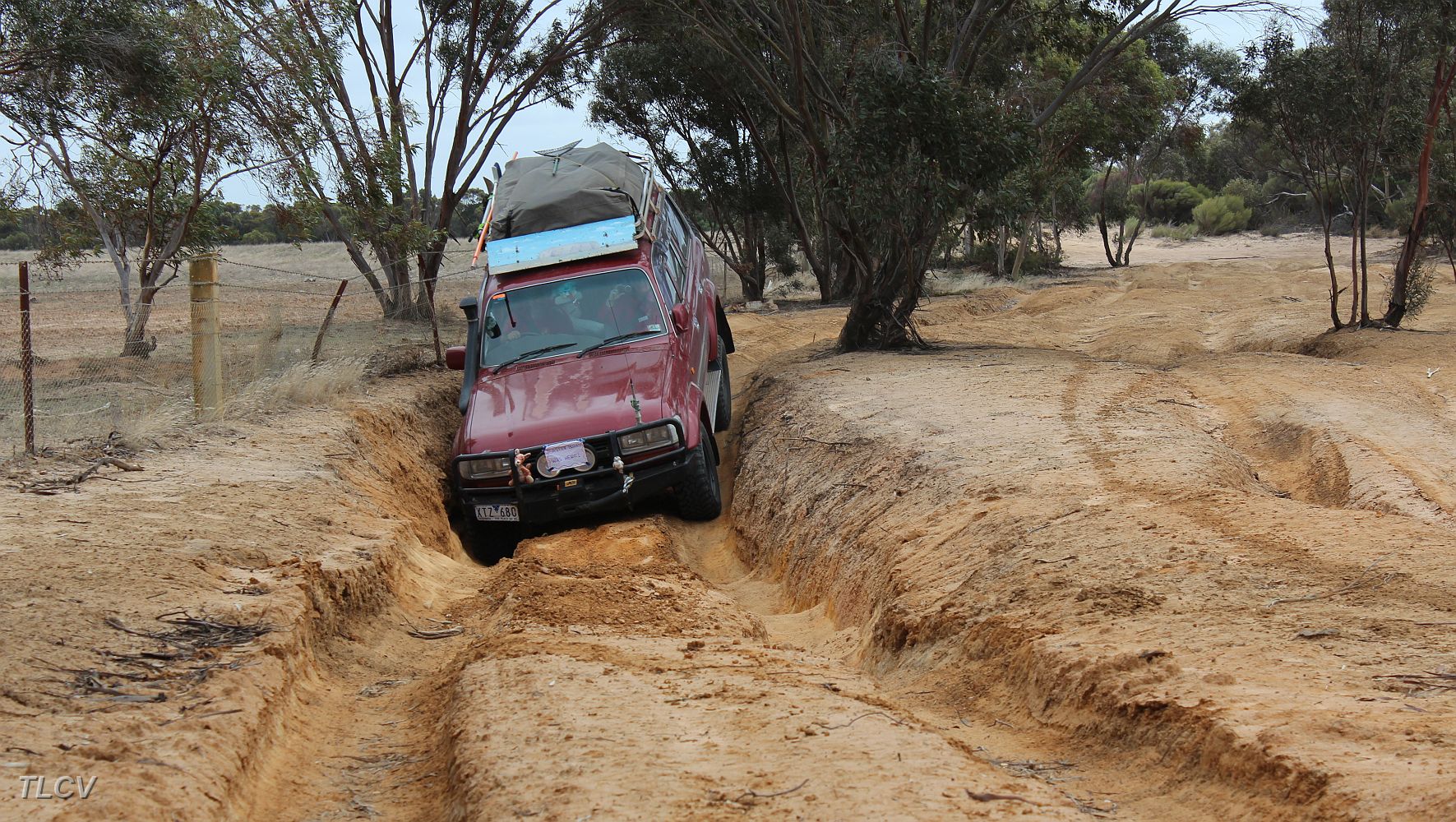 2012-04-VIC-SA Border Track/35-Scratchy enjoys the bog hole run on the ...